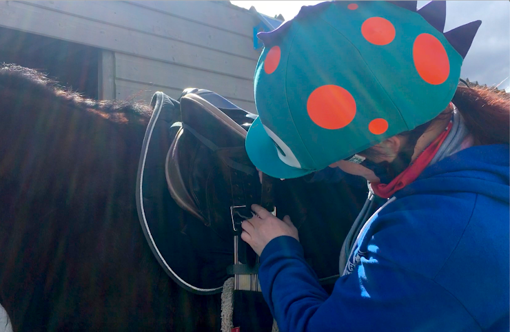 RDA Riding Proficiency Tests – The Para Vaulter