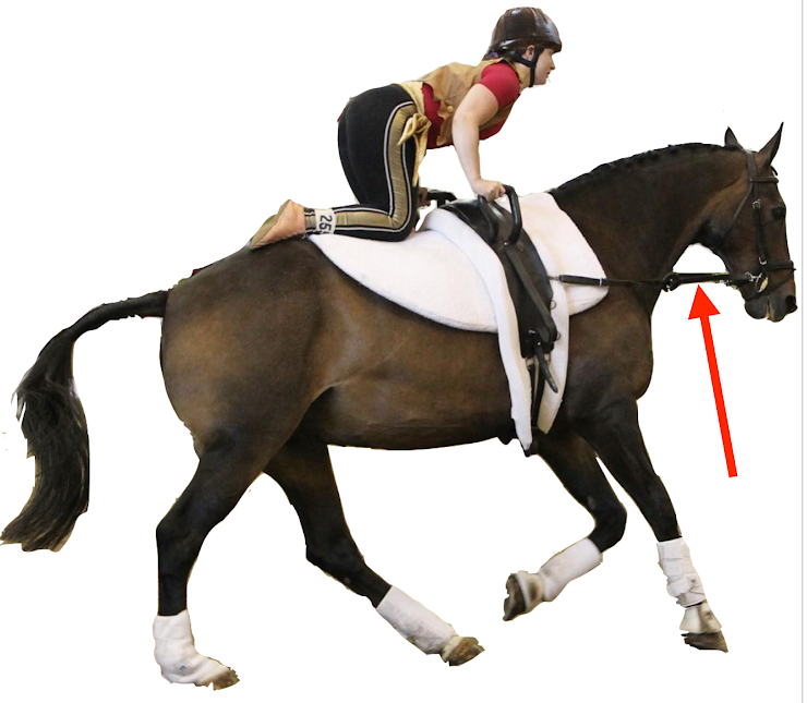 RDA Vaulting Proficiency Tests – The Para Vaulter